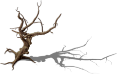 Baum - Factorio Wiki